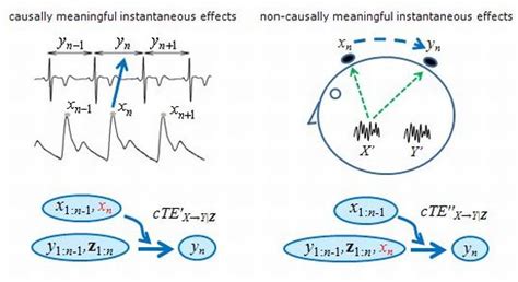 Entropy Free Full Text Compensated Transfer Entropy As A Tool For