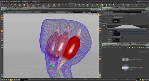 houdini 16 masterclass muscles overview