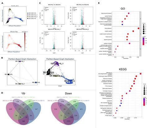 Visium Spatial Transcriptomics Reveals Intratumor Heterogeneity And