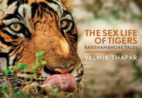 The Sex Life Of Tigers Ranthambhore Tales By Valmik Thapar Goodreads