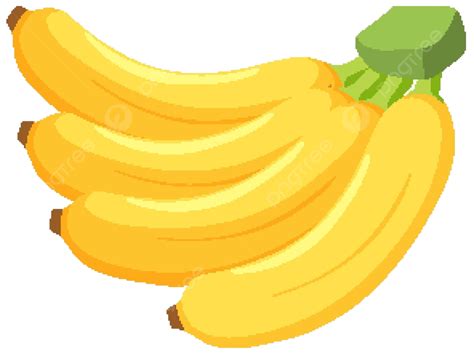 مجموعة الموز معزولة على خلفية بيضاء الرسم الاستوائي Grocery المتجه