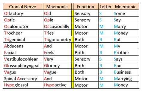 Cranial Nerves Mnemonic Function Labeled Names In Order 44 Off