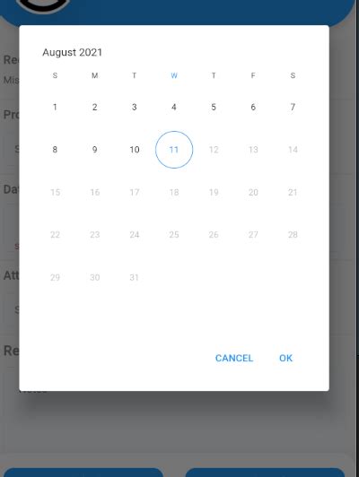 [solved] flutter datetimepicker size is too small resize flutter