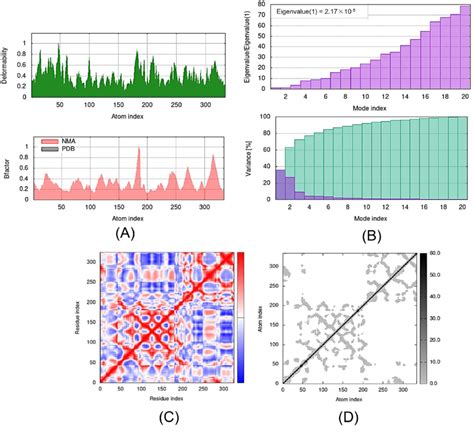 Outputs Of Molecular Dynamics Simulations Through Imods For Gdf1 Tmz