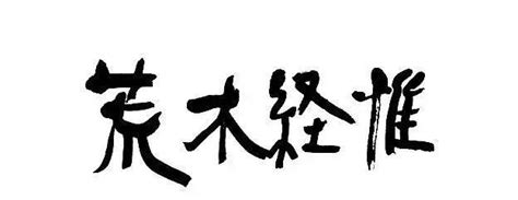 荒木经惟展览专题回顾：从平成到令和的跨时代花开 知乎