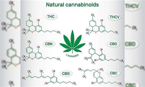 What Is Delta 8 Thc And What Are The Medicinal Benefits La Weekly