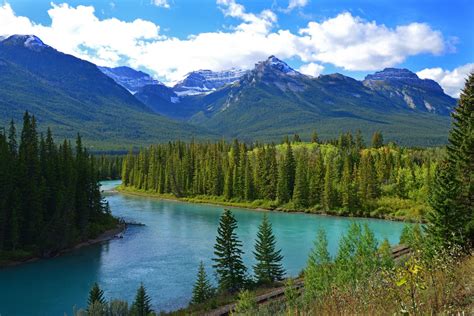 Wallpaper Landscape Forest Lake Nature Reflection River