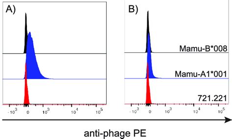 Testing The Specificity Of Mamu A1 001 Panned Phages With Mhc Class I