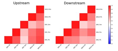 Pearson Correlation Coefficient Pcc Matrices Of The Processing