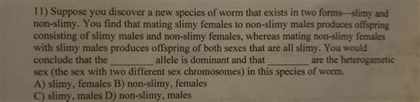solved 11 suppose you discover a new species of worm tha