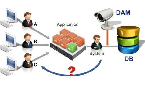 understanding the scope of database activity monitoring 14819