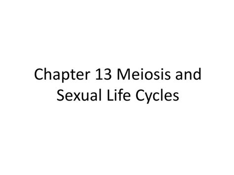 Chapter 13 Meiosis And Sexual Life Cycles