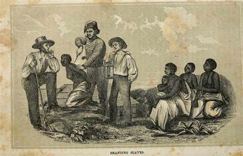 An Overview Of The Trans Atlantic Slave Trade – Brewminate A Bold