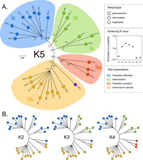 Half Compat Consensus Tree And Clustering Of Oreina Speciosissima As