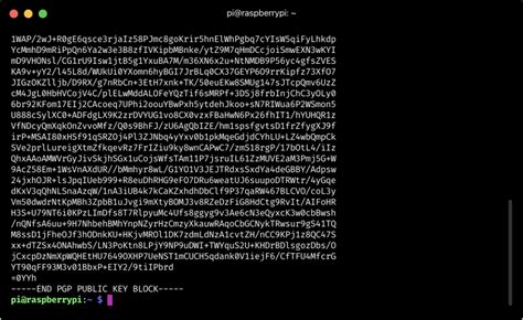 installing docker portainer on raspberry pi os alan santos