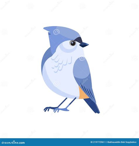 Tufted Titmouse Is A Small Songbird A Species In The Tit And Chickadee