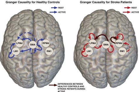 Links Represent Granger Causality Connections Determined By The 95