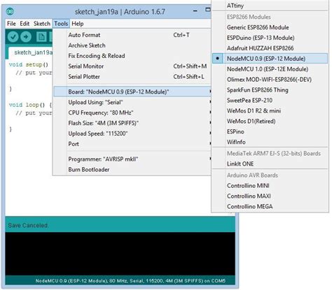 instructions setting up the arduino ide to program