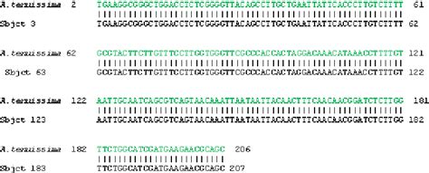 partial display of local pairwise sequence alignment of its regions