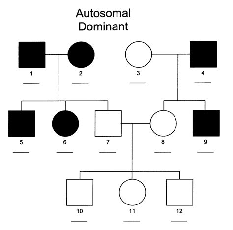 autosomal dominant inheritance michigan genetics resource center
