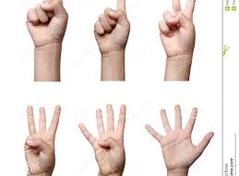 sign language recognition using hand gestures keras pyqt opencv from