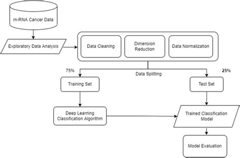 Frontiers Deep Learning Techniques For Cancer Classification Using