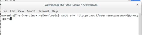 setting proxy di linux ubuntu menggunakan terminal share to the world