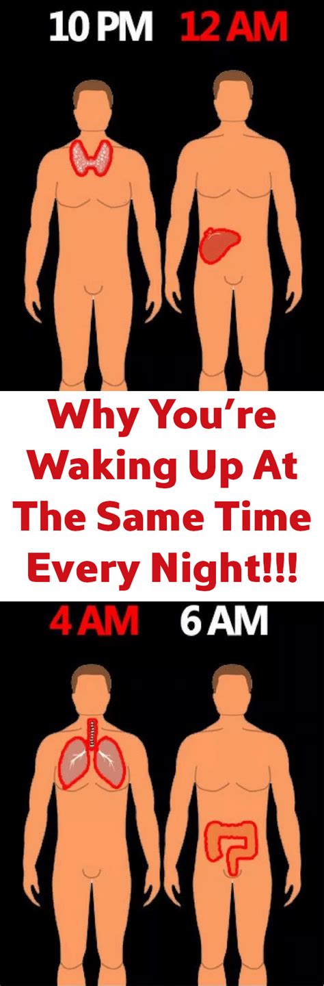 Why Youre Waking Up At The Same Time Every Night How To Stay
