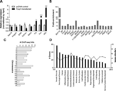 real time qpcr validation of microarray data and chip seq data