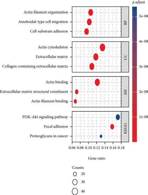 The Results Of Go Kegg Pathway Enrichment And Gsea Analyses A