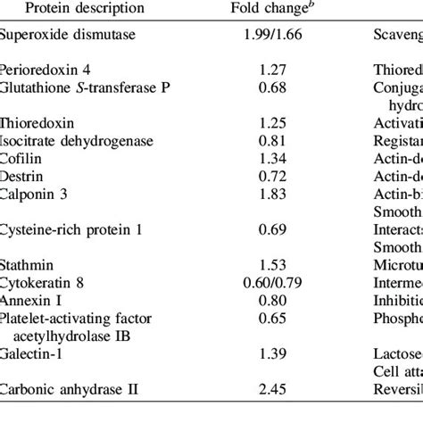 Functional Classification Of Proteins Expressed Differentially On The