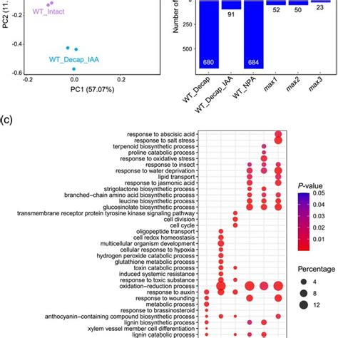 Whole‐genome Differential Gene Expression Analysis A Clusters Of