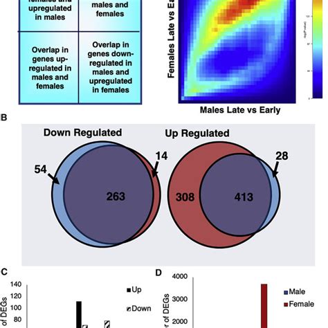 reference map of single cell chromatin accessibility from t1d relevant