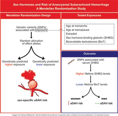 Sex Hormones And Risk Of Aneurysmal Subarachnoid Hemorrhage A