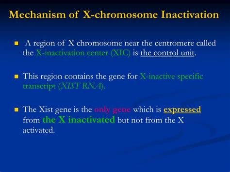 Ppt Sex Chromatin Bodies Barr Body Powerpoint Presentation Id 6531581