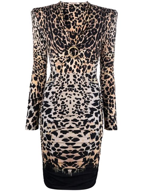 Roberto Cavalli Leopard Print Minidress Editorialist