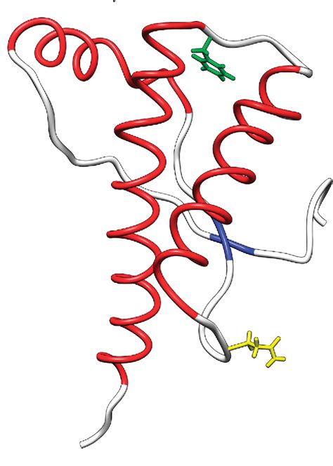 Figure 1 From The Unfolding Of The Prion Protein Sheds Light On The
