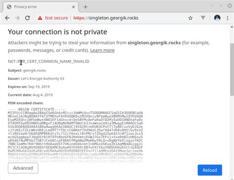 how to download invalid or self signed certificate without