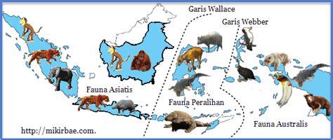 Persebaran Flora Dan Fauna Di Indonesia Artikel And Materi