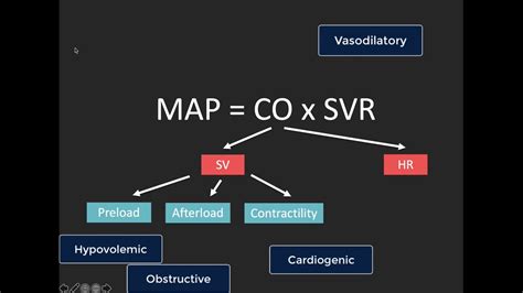 Pocus Estimation Of Cardiac Output Youtube