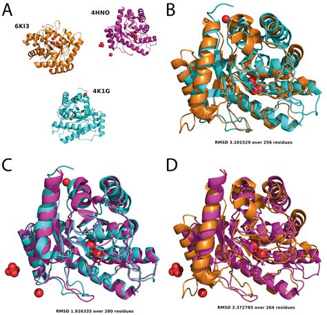 Structural Bioinformatics At Uam Protein Databases
