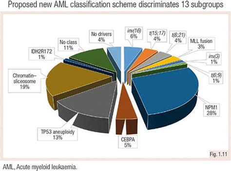 Classification Of Aml And Cml Oncologypro