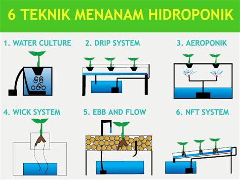 Macam Macam Jenis Sistem Hidroponik Seputar Budidaya Sexiz Pix