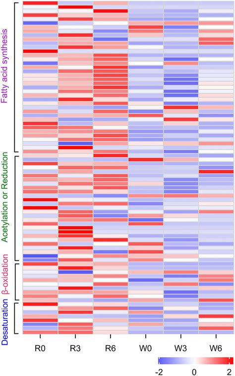Heatmap Analysis Of Expression Patterns Of Putative Genes Associated