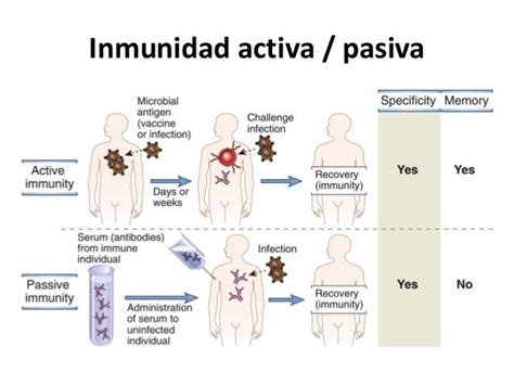 Biologia Inmunidad Pasiva