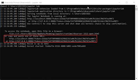 set up jupyter notebook and client library for document classification