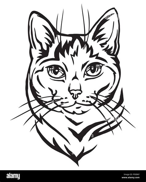 Gato De Perfil Dibujo Fotografías E Imágenes De Alta Resolución Alamy