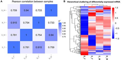 frontiers comparative transcriptome analyses of schistosoma japonicum
