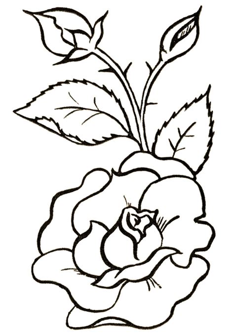 22 Flower Clipart Black And White Flower Drawing Flower Sketches