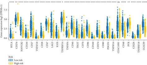 The Expression Of Immune Checkpoint Molecules And The Correlation